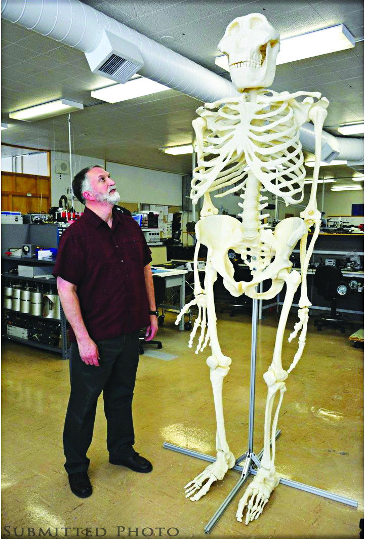 SIXTEEN-HUNDRED HOURS OF SASQUATCH SKELETON – The Bengal